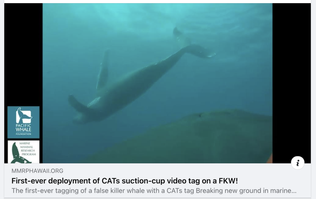 05_Our Story – CATS – Customized Animal Tracking Solutions